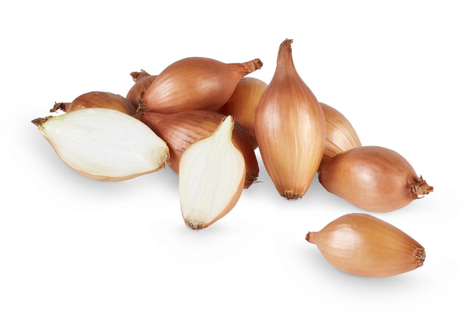 Cebolla Perla - Sugerente y delicada - Cebollas Aparici